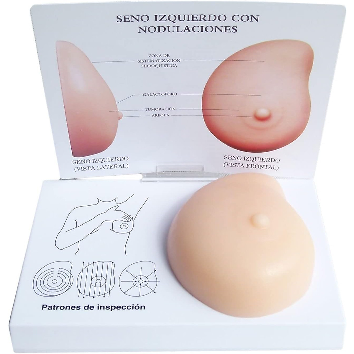 Silicone Breast Model Manikins Medical Teaching Soft Silicone Breast Model Pathological Single Breast Self-Examination Model with Benign Tumor Foreign Body