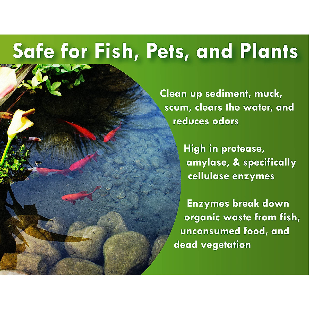 Pondworx Water Clear - Concentrated Formulation Improves Water Clarity and Quality, Helps Clear Cloudy Water, Safe for Fish, Pets, and Plant - 1 Gallon