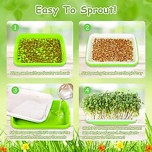 Legigo 10 Pack Green Seed Sprouter Trays- Soil-Free Cultivation Germination Tray, BPA Free Nursery Tray with Planting Paper for Indoors or Outdoors Sprouting Seeds, Grow Grass, Beans (Without Lids)