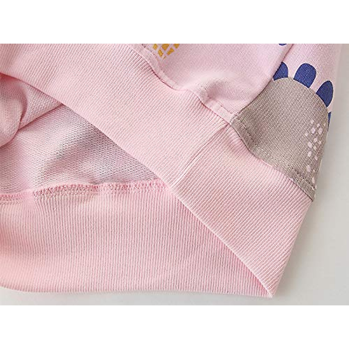 Bumeex Toddler Girl Sweatshirt Clothes Outfit,Cotton Pink Dinosaur Crewneck Christmas Clothing 4t