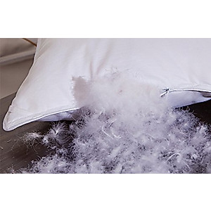 Baby Crib Comforter/Duvet/Blanket All Season 100% Natural White Goose Down Filled,Noiseless 500 Thread Count 100% Cotton Fabric 750+Fill Power (White, 41x48in)