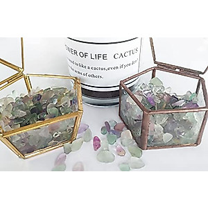 DUQGUHO Decorative Rocks Aquarium Gravel Natural Fluorite Crystals Chip Bulk Rocks Gravel for Plants Terrarium Supplies Little Fish Tank Gravel Pebbles Vase Filler 0.44 lbs