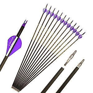 12pc ID 6.2mm .244" Custom Length 22-30 Inch Carbon Arrows Spine 350 400 500 600 Target Practice & Hunting Arrow Rotatable Nock for Recurve Bow Compound Bow Adult Youth Shooting Purple