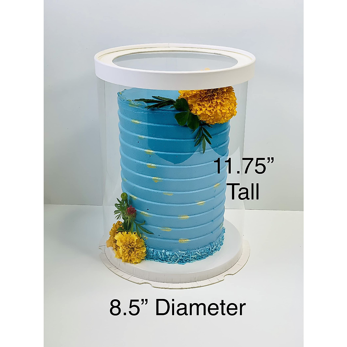 White Tall Clear Cake Boxes 5 PCs - 8 Inch Round Clear Cake Box For Birthday Cake | Wedding Cake - Transparent Cake Box - Bakery Boxes - Clear Gift Boxes (White 8.5"D x 11.75" H)