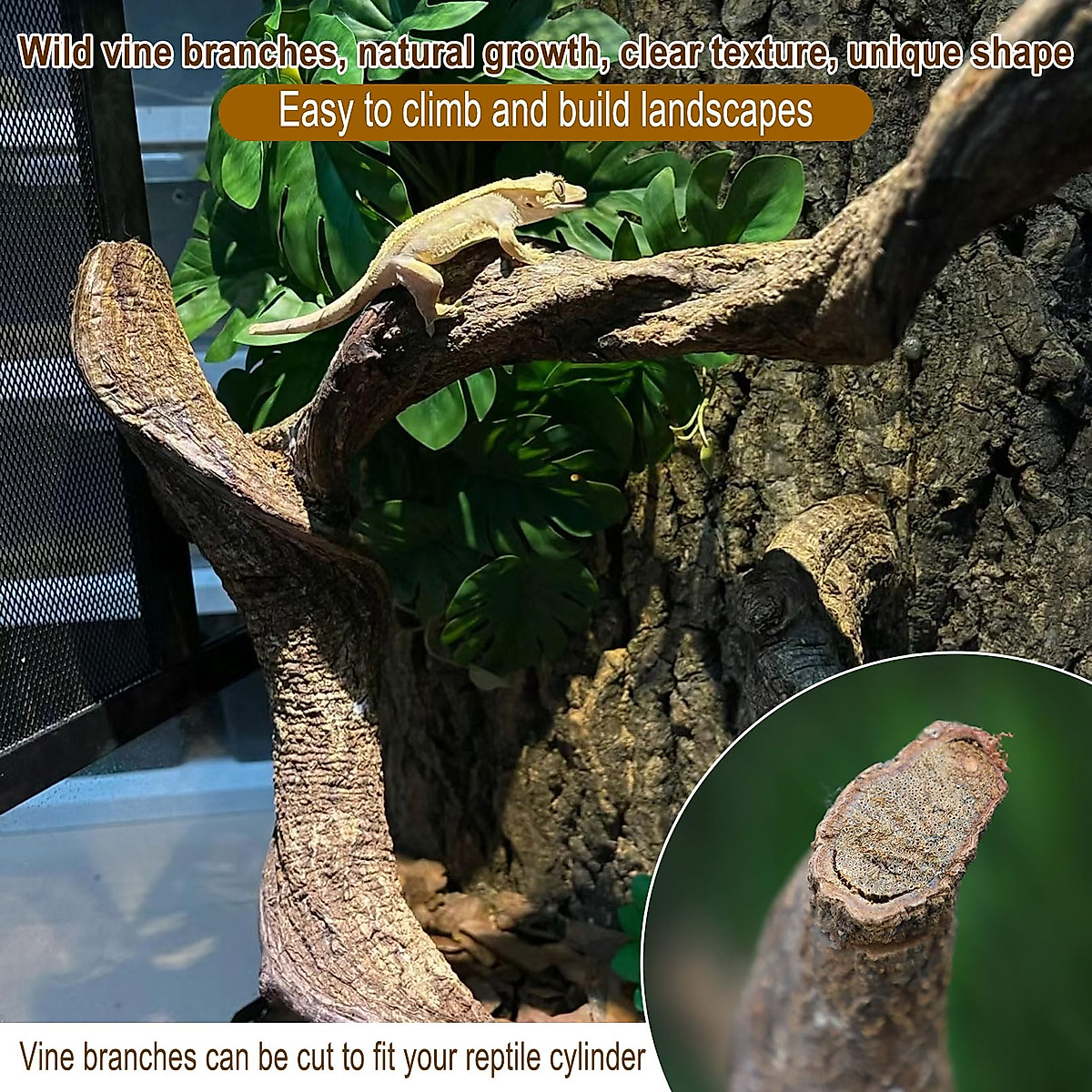 Reptile Decor Natural Forest Branch Terrarium Habitat Driftwood Decoration Lizard Climbing Tree Branch for Bearded Dragon Gecko Snake Frog Chameleon Spider 4PCS