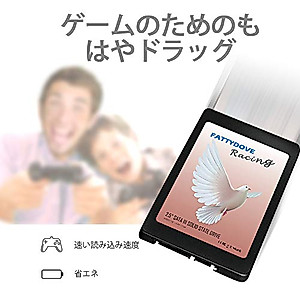 FATTYDOVE 2.5 inch SSD 240GB Internal Drive SATA III 6 Gb/s Solid State Drive with SATA 3.0 Cable for 4K Video Game/PC (240GB SSD Drive)