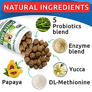 All-Natural Grass Treatment for Dog Urine Bundle - Grass Restore Treats for Dogs - Pee Lawn Repair Chews w Probiotics - Dog Urine Neutralizer Solution for Grass Burn Spots - Made in USA