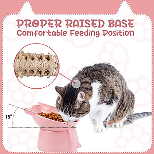 3 Pcs Elevated Cat Bowls 15°Cat Elevated Food Bowl with Silicone Mat Cat Bowls Elevated Whisker Friendly Anti Vomiting Cat Elevated Food and Water Bowls for Indoor Cats and Kittens