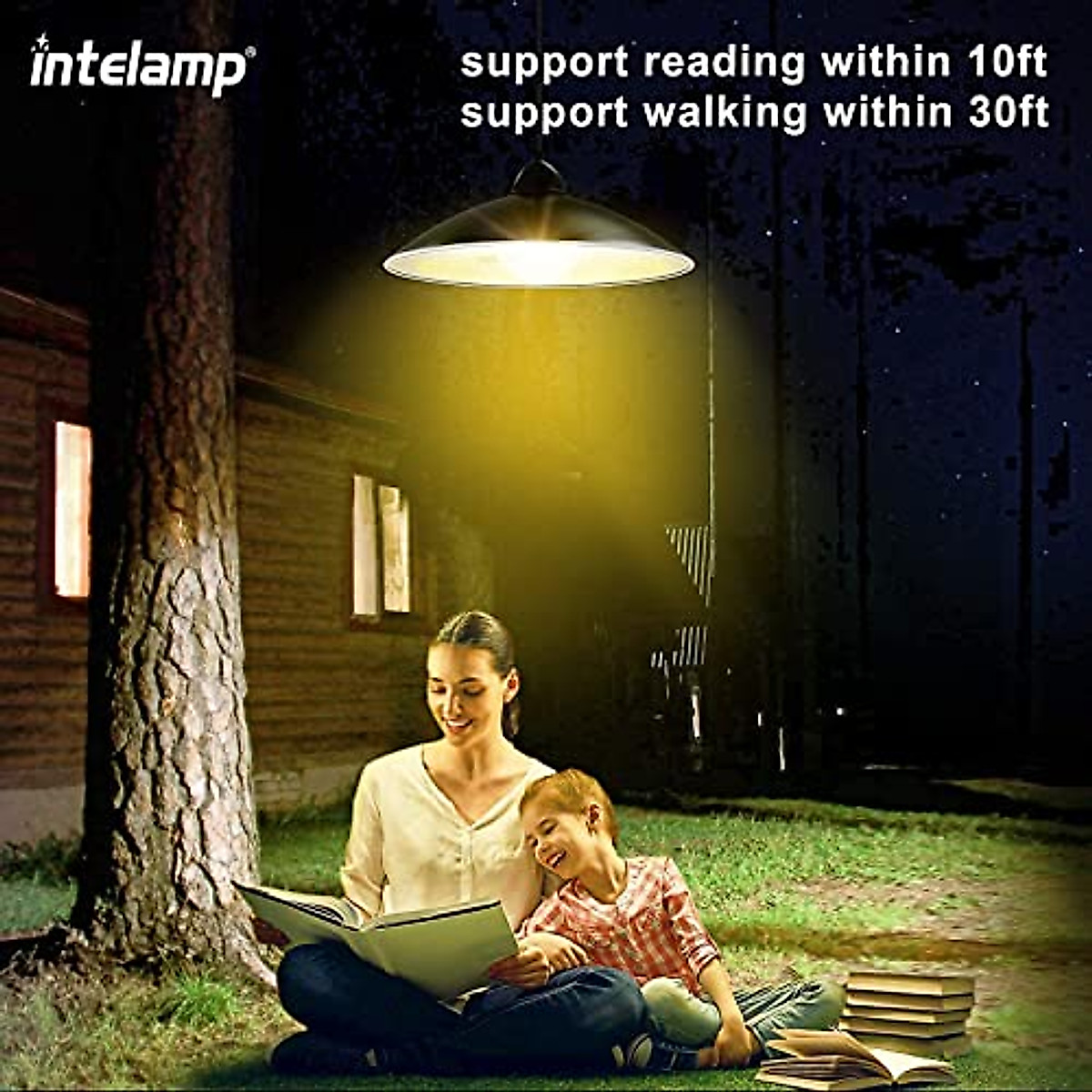 intelamp Solar Pendant Lights, Solar Shed Lights by Remote Control Solar Powered Indoor & Outdoor Lights Hanging Lights for Storage Room Home Yard Porch Balcony