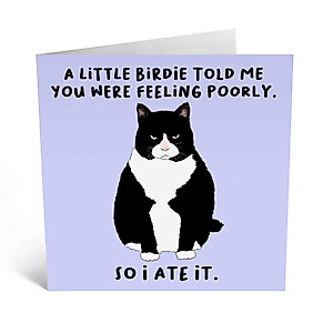 CENTRAL 23 - Funny Get Well Soon Card For Her Him - 'A Little Birdie Feeling Poorly' - Cheer Up Gifts For Women Men - Cat Greeting Cards Sympathy Memorial Thinking Of You - Comes With Fun Stickers