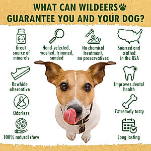 Wildeers Premium Deer Antlers for Dogs - Dog Antler Chews - Made in USA, Naturally Shed, Healthy Treat - Grade A, 4-5 in, 3 Pieces, Long Lasting Antler Chew Bones for Aggressive Chewers (Small)