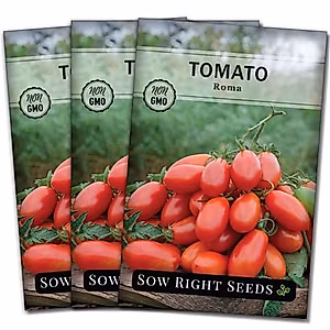 Sow Right Seeds - Roma Tomato Seed for Planting - Non-GMO Heirloom Packet with Instructions to Plant a Home Vegetable Garden - Great Gardening Gift (3)