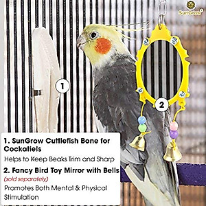 SunGrow 2 Pack Cuttlefish Bones, 6 inch, Made with Real Cuttle Fish, Calcium Source for Parakeets, Turtles, Dog, Chicken, Pleco, Snails, and Shrimps