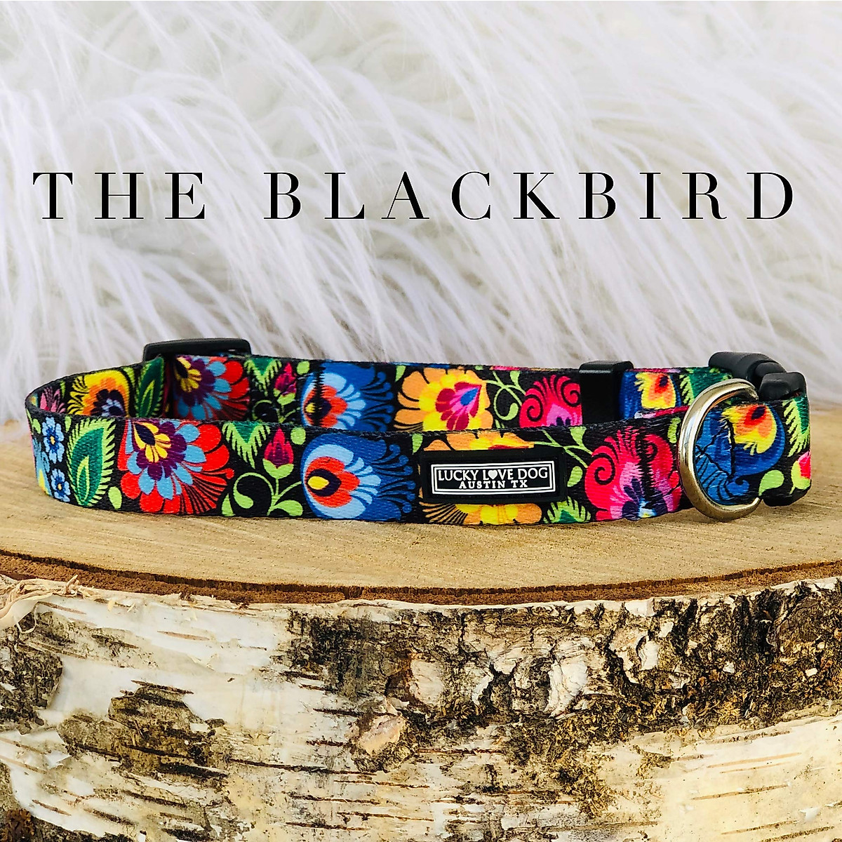 Lucky Love Dog - Easy Click Buckle Dog Collar with Leash Set Combo, Durable & Comfortable Collar for Male & Female Dogs, Pet Collar for Small to Large Dogs, Secure Fit - Blackbird Combo, Small