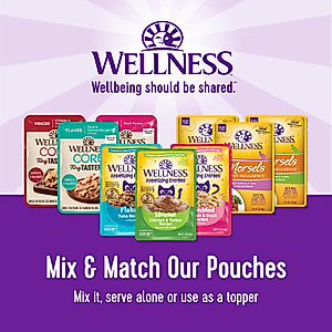 Wellness CORE Tiny Tasters Pate Adult Wet Cat Food, Natural, Protein-Rich, Grain Free, 1.75 Ounce Pouch, 12 Pack (Chicken)