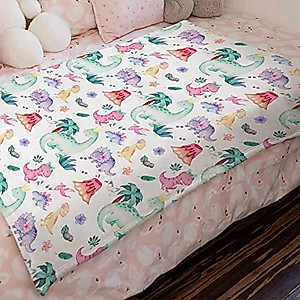 HawSkgFub Dinosaur Baby Blanket for Girls Gift Pink Purple, Tropical Dino Lover Flannel Fleece Nursery Bed Swaddle Receiving Blankets, Soft Lightweight Newborn Toddler Infant Crib kids Bedding 30 x 40