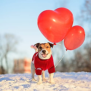 Queenmore Knit Sweater for Dogs, Turtleneck High Elastic Heart Pattern Festival Knitwear with Hind Leg Strings for Small and Medium Dogs (Red, XS)