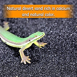 BNOSDM Reptile Terrarium Sand Lizard Substrate and Snake Bedding Clean Natural Terrarium Bedding for Bearded Dragon Lizard Gecko Scorpion Chameleon