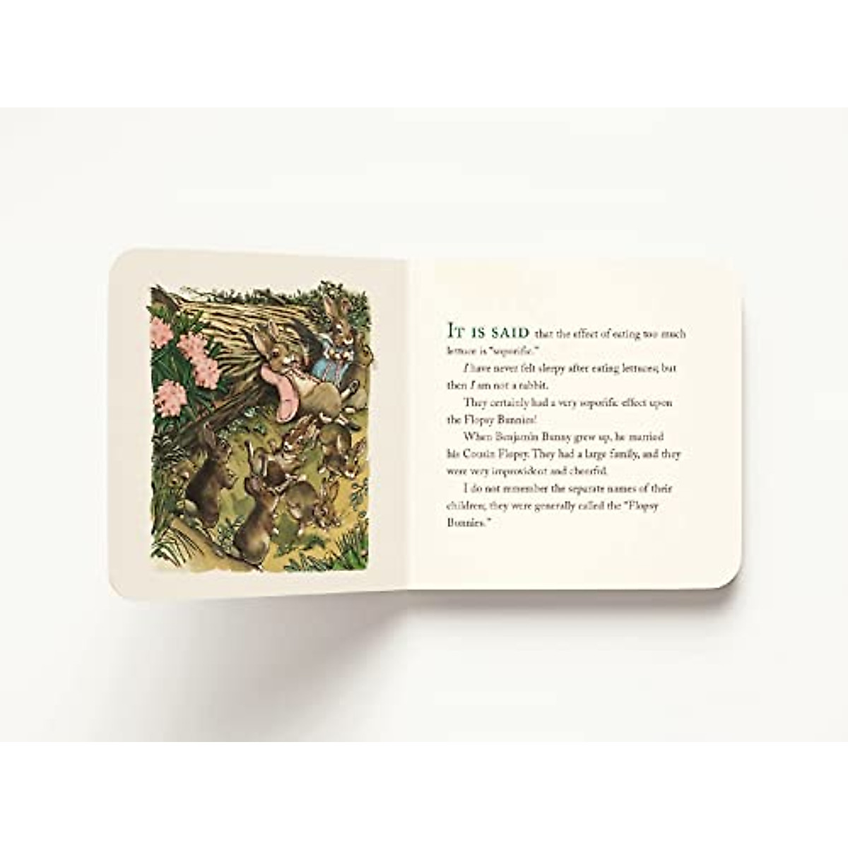 The Peter Rabbit Classic Collection (The Revised Edition): A Board Book Box Set Including Peter Rabbit, Jeremy Fisher, Benjamin Bunny, Two Bad Mice, ... Children's Classics With Valuable Lessons)
