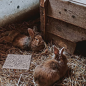 POPETPOP Hamster Cooling Pad Marble Stone Rabbit Cooling Pad Small Pet Cooling Mat Board Bed Summer Chilly Plate for Chinchillas Guinea Pigs Kitten Puppy Random Pattern