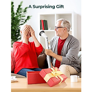 Sweepulire AC Adapter for Sweepulire SW1 Cleaning Brushes