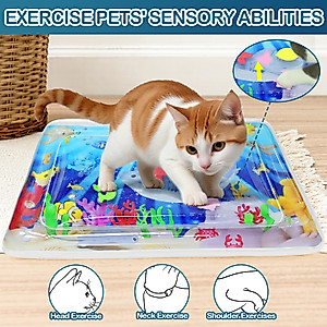 Upgraded Water Sensory Playmat for Cats, Thickened Cat Dog Toys Bored Pet Animals Cat Kicker Toys Self Play Mat Interactive Pet Water Sensory Mat Pad Pet Cooling Mat Indoor Outdoor Exercise Rectangle