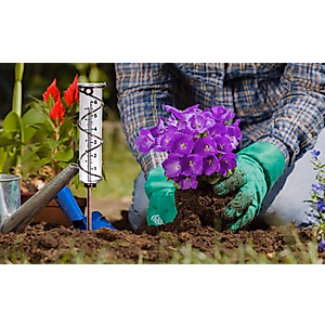 BIUWING Rain Gauge with Detachable Spiral Shap, Garden Rain Water Meter Measuring with Metal Frame, No Assembly Rain Measure Gauge for Yard Lawn Landscape (A)