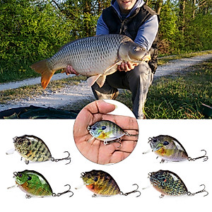 5PCS Fishing Lures 6cm 15g Mini Wobbler Fishing Lure Artificial Hard Bait Crankbait with Tackle Box for Fish Bass Fishing Tackle