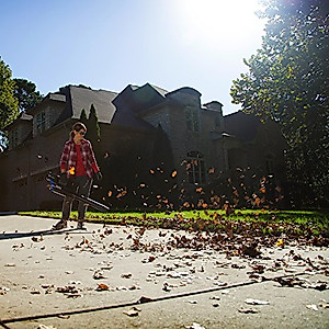 Kobalt 80-Volt Max Lithium Ion (Li-ion) 500-CFM 125-MPH Heavy-Duty Brushless Cordless Electric Leaf Blower (Bare Tool Only, Battery and Charger Not Included)