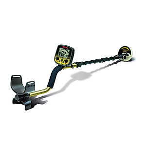 Fisher Labs Gold Bug Pro Metal Detector, Black (GOLDBUG-PRO) - Finds Small Gold Nuggets, Variable Breakpoint Tone Discrimination, Real-Time Ground Balancing, Lightweight, 19kHz Frequency