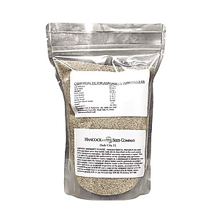 Hancock Seed Co. Common Bermuda Grass Seed - Coated & Unhulled, 50 lbs.