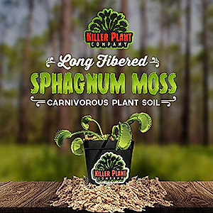 Carnivorous Plant Soil - Long Fibered Sphagnum Moss - 2 Quarts - New Zealand Grade - for Potting Venus Fly Traps, Sarracenia, Pitcher Plants, and Other Carnivorous Plants