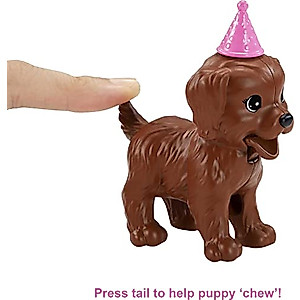 Barbie Puppy Party Doll and Playset, Blonde Doll with Sunflower Dress, 2 Pet Puppies, Cake Mold, Dough and Accessories