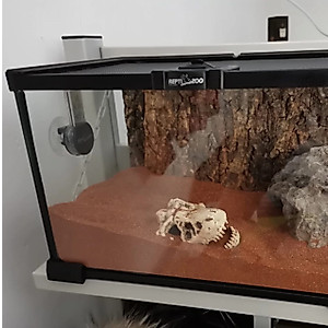 AWXZOM Desert Reptile Decor Skull Fish Tank Decorations Bearded Dragon Accessories Desert Reptile Decor Bearded Dragon Decor, Snake Tank Decor (Cattle+ Dinosaur)