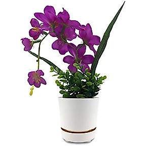 HBServices USA 8" Self Watering + Self Aerating High Drainage Deep Reservoir Round Plant Pot, Maintains Healthy Roots, for Indoor & Outdoor & Windowsill Gardens (White)