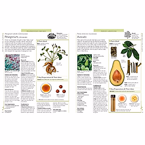 DK Encyclopedia of Herbal Medicine: 550 Herbs Loose Leaves and Remedies for Common Ailments
