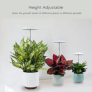 LED Grow Light for Indoor Plants 2 Pack, Intelligent USB Small Plant Lights with Remote Controller, Height Adjustable, Automatic Timer, Ideal for Home Decoration