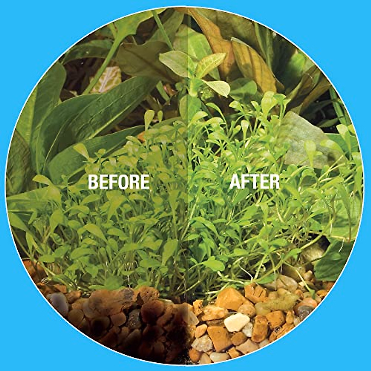 MICROBE-LIFT Professional Gravel & Substrate Cleaner for Freshwater and Saltwater Tanks, 16oz