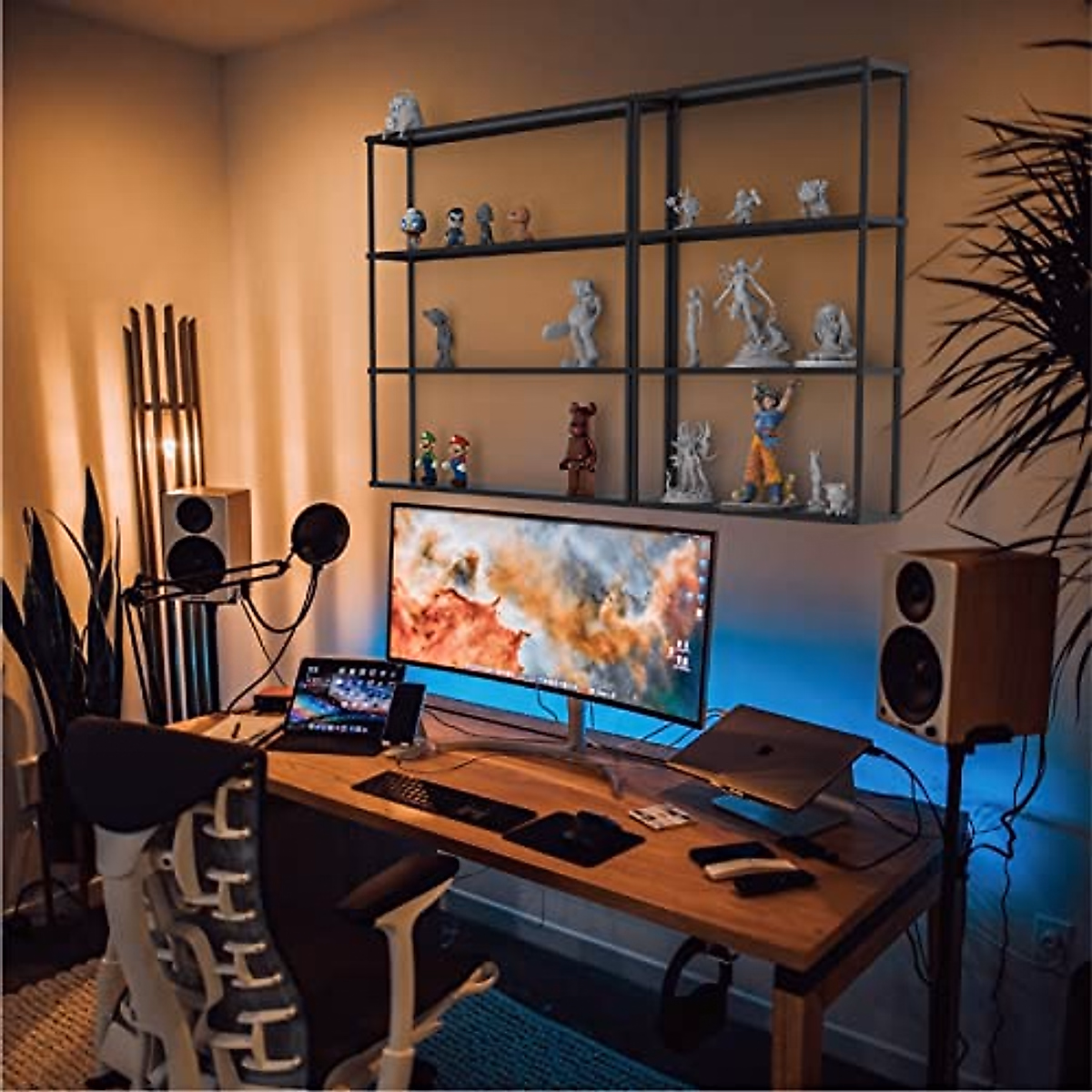 Mango Steam Wall-Mounted Steel Shelving Unit for Kitchen, Storage or Display Use -36 H x 36 W x 6 D Inches- Black -