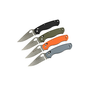 Ganzo G729-GY Folding Pocket Knife 440C Stainless Steel Blade G10 Anti-Slip Handle with Clip Hunting Fishing Camping Folder Outdoor Utility Folding Knife EDC Knife (Grey)