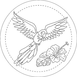 Birds Embroidery Pattern Transfers (set of 10 hoop designs!)