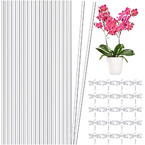 Aboofx 20 Pieces 16 Inch Plant Stakes Acrylic Plant Stakes Garden Stakes Orchid Stakes, Clear Plant Sticks Plant Support Stakes with 20 PCS Clear Dragonfly Orchid Clips for Indoor and Outdoor Plants