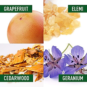 Adidas Sport, Charge, Mens Fragrance 3.3 ounce Eau De Toilette, 1 Count