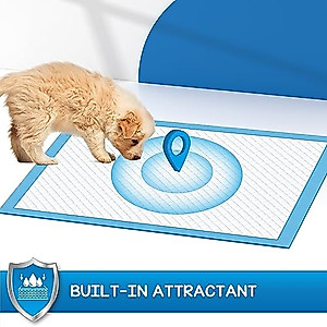 CROCI XXL 30"x36" Thicker Heavy Absorbency Pee Pads for Dogs, Dog Training Pads Absorbs Up to 8-Cup of Liquid, 6-Layer Puppy Pads Leak-Proof & Quick Drying, Disposable (40 Counts)