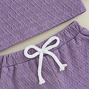 Newborn Baby Girl Clothes Daisy Outfit Long Sleeve Sweashirt Tees Tops Pants Infant Toddler Girl Fall Winter Clothes (Solid-Purple, 12-18 Months)