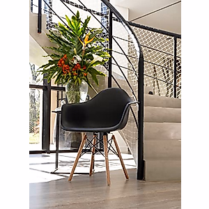 +gardenlife | Eames Nordic Chair Mid Century Design Dining Plastic Armchair | Set of 2 | Black