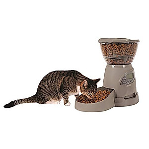 Petmate Portion Right Programmable Dog and Cat Feeder 2 Sizes Brushed Nickel