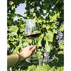 Zalto Denk'Art Bordeaux Wine Glass Hand-Blown Crystal | Boxed Set of 6