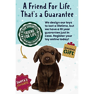 Living Nature Chocolate Labrador Stuffed Animal | Fluffy Dog Animal | Soft Toy Gift for Kids | 8 inches