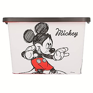Stor ST-02644 02644 Click Storage Box, Cartoon, Multicoloured, Mediano